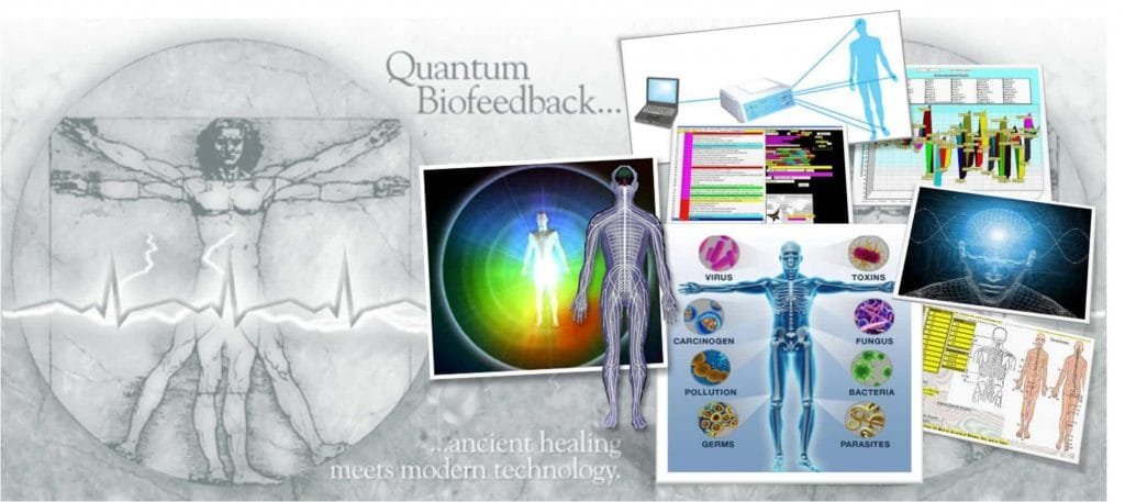 life systems biofeedback review